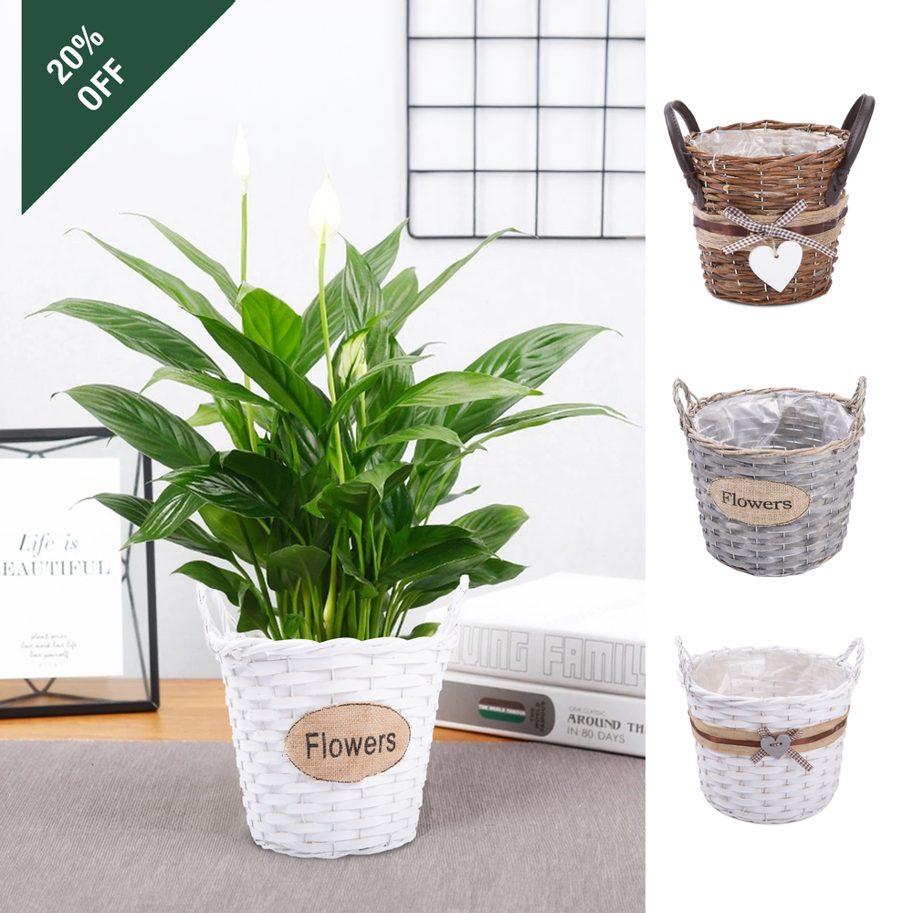 Wicker Baskets Wooden Crates Bamboo Hampers Gift Packing Home Storage ...